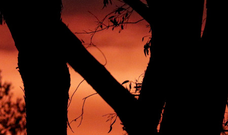 Australia’s wild summer and the implications on insurance premiums - by ...