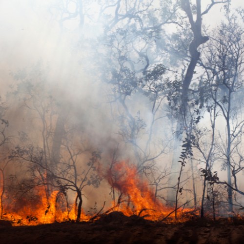 Australian summer bushfire risk – What’s the official word? - by ...