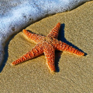 What is TPD insurance and what are the different definitions? - by ...