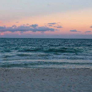 What is trauma insurance, and do I need it? - by Craig Muldoon