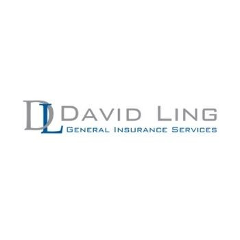 David Ling - David Ling General Insurance Services - Find your local ...